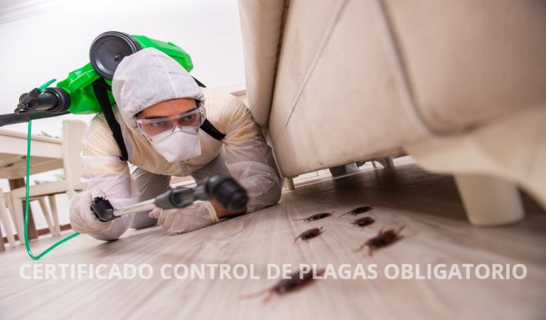 Certificado Control de Plagas Obligatorio | Todo lo que debes saber