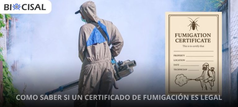 ¿Qué es la Desratización? Guía completa para entender el proceso